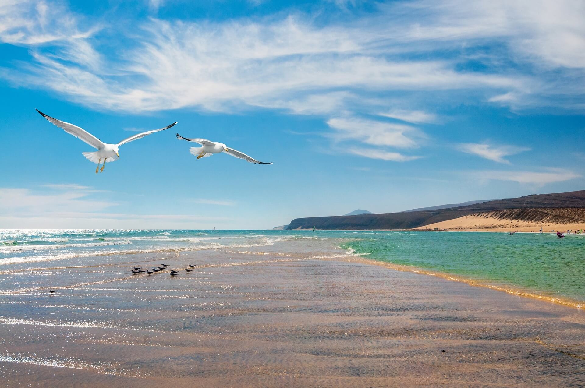 Viajes Fuerteventura Todo Incluido Vuelo y hotel para tu próxima escapada
